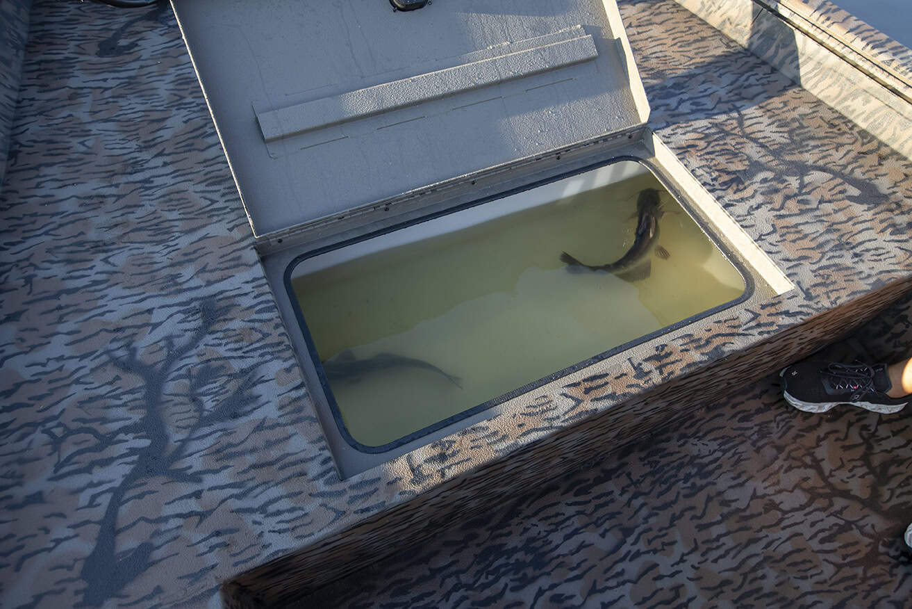 XP200 Catfish-15-low - Xpress Boats